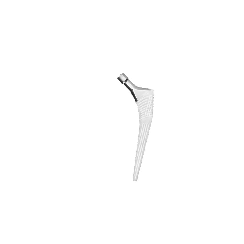 Ortonom + Hip and Knee Implant Systems